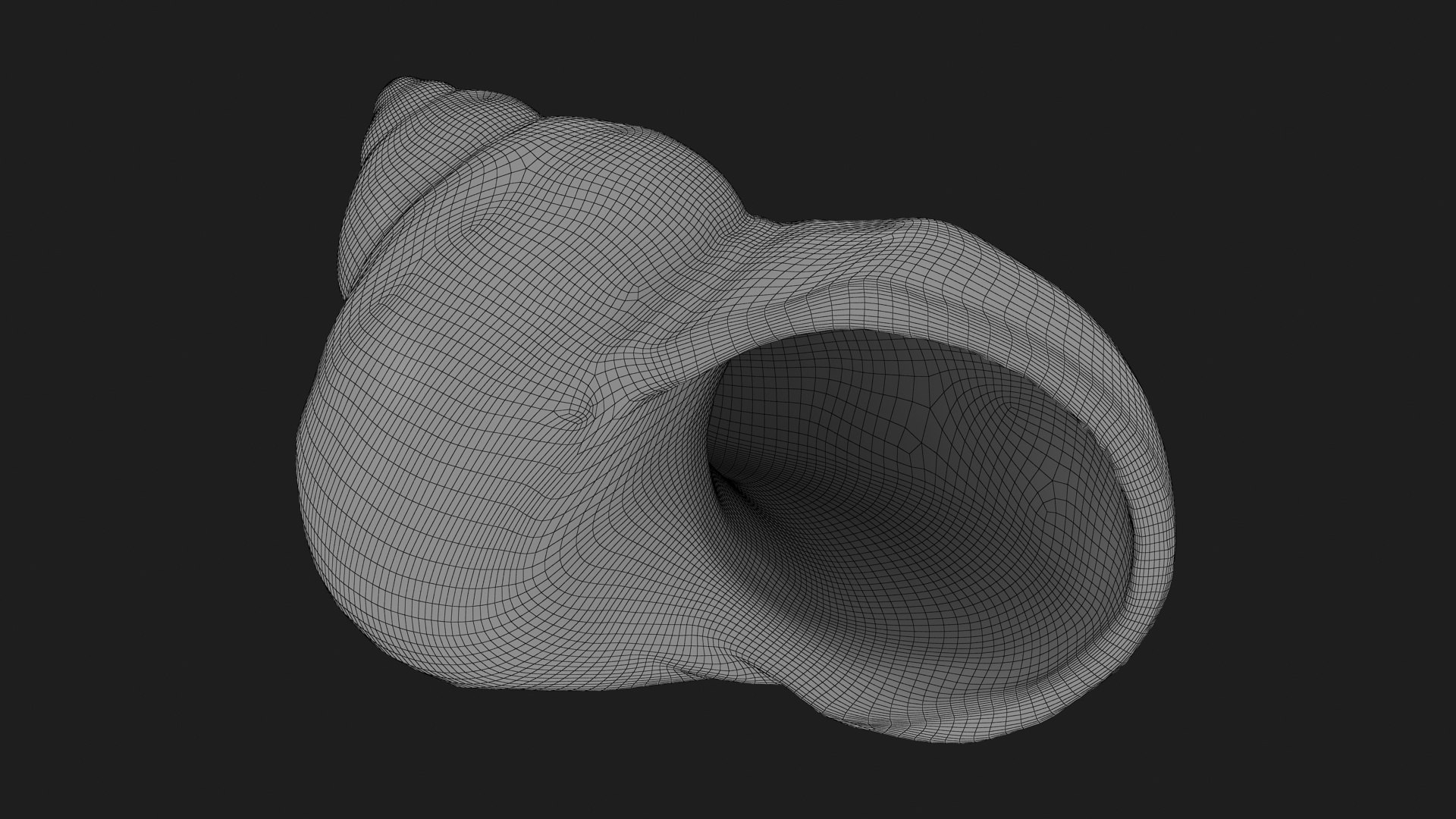 Turbo Petholatus 3D Model - TurboSquid 2214501