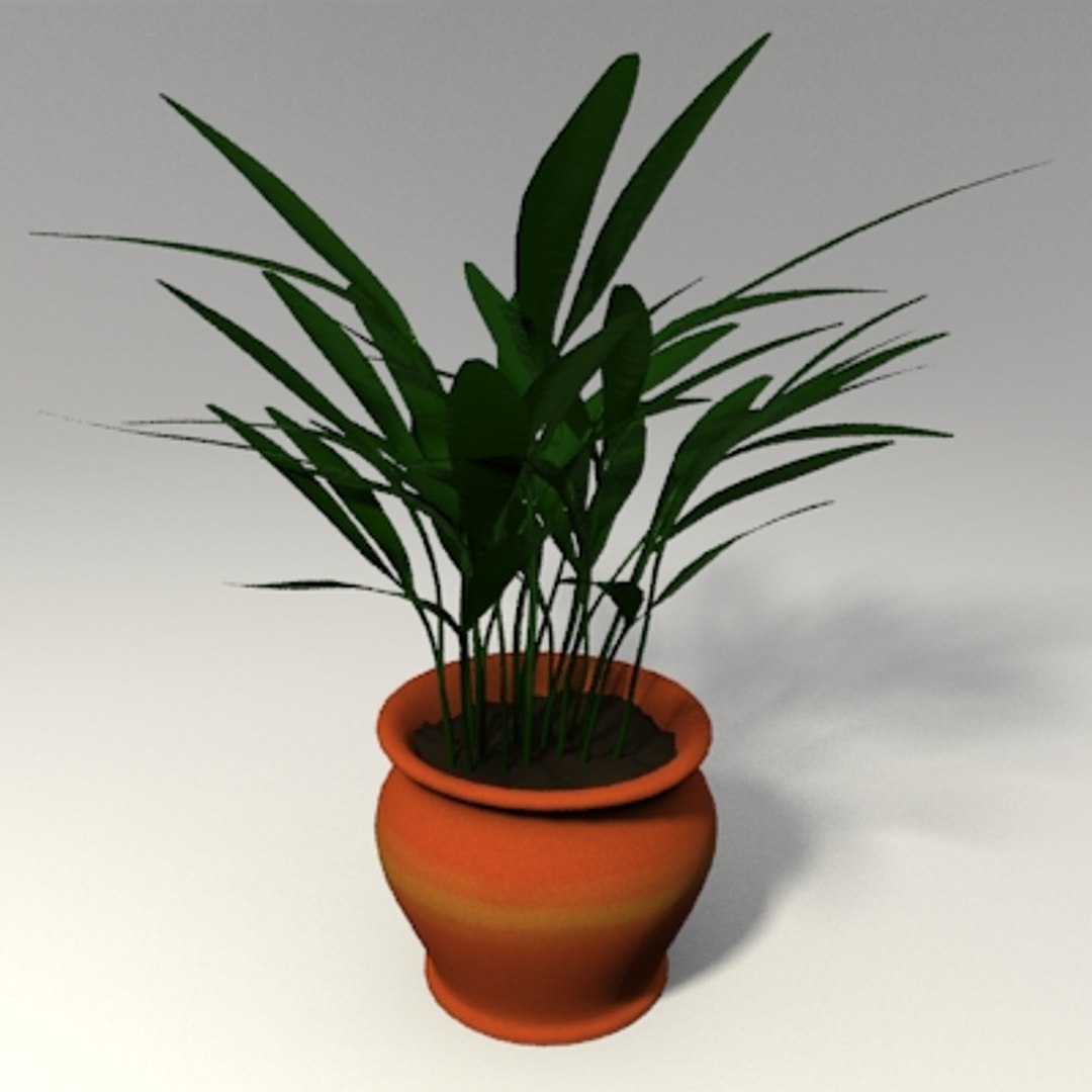 3D Plant - TurboSquid 517240