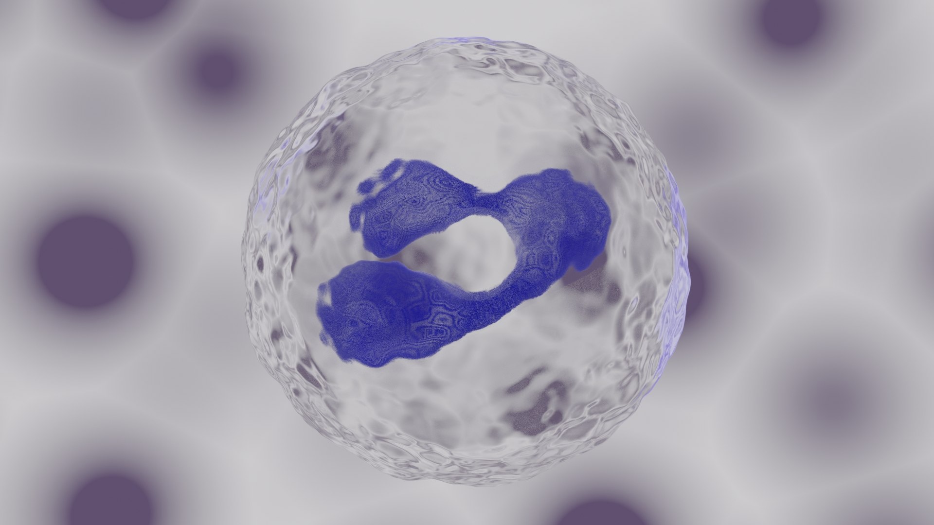 3D Model Cell Blood Leukocyte - TurboSquid 1671511