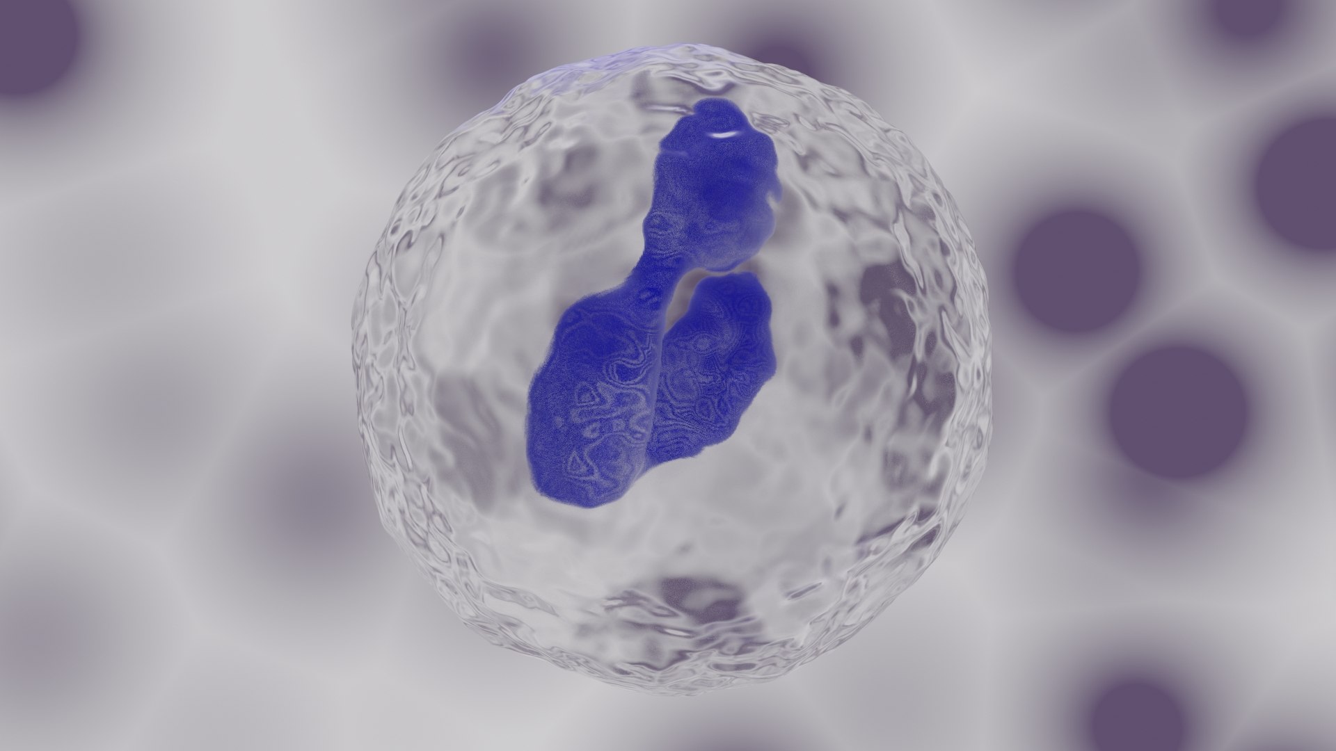 3D Model Cell Blood Leukocyte - TurboSquid 1671511