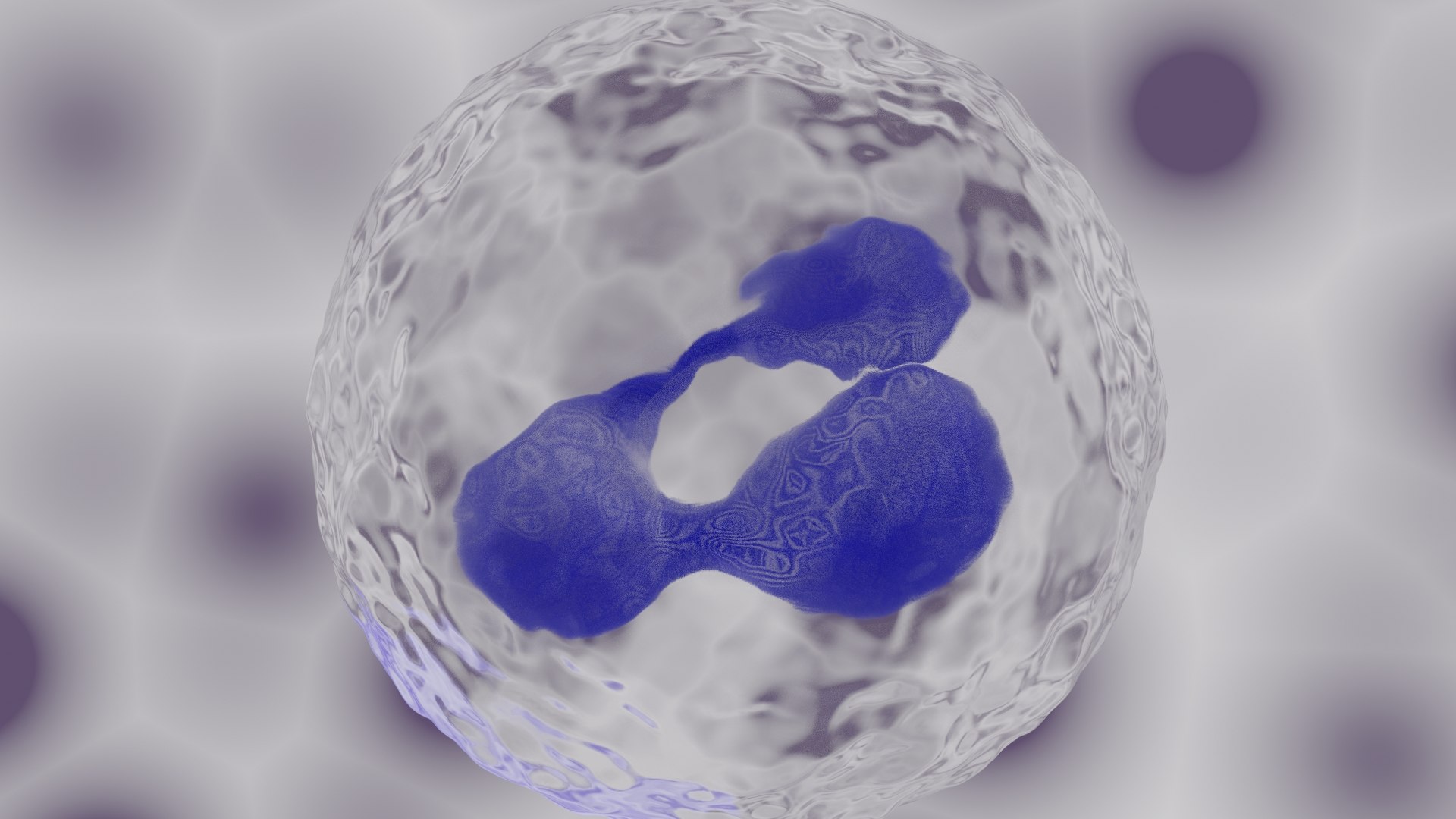 3D Model Cell Blood Leukocyte - TurboSquid 1671511