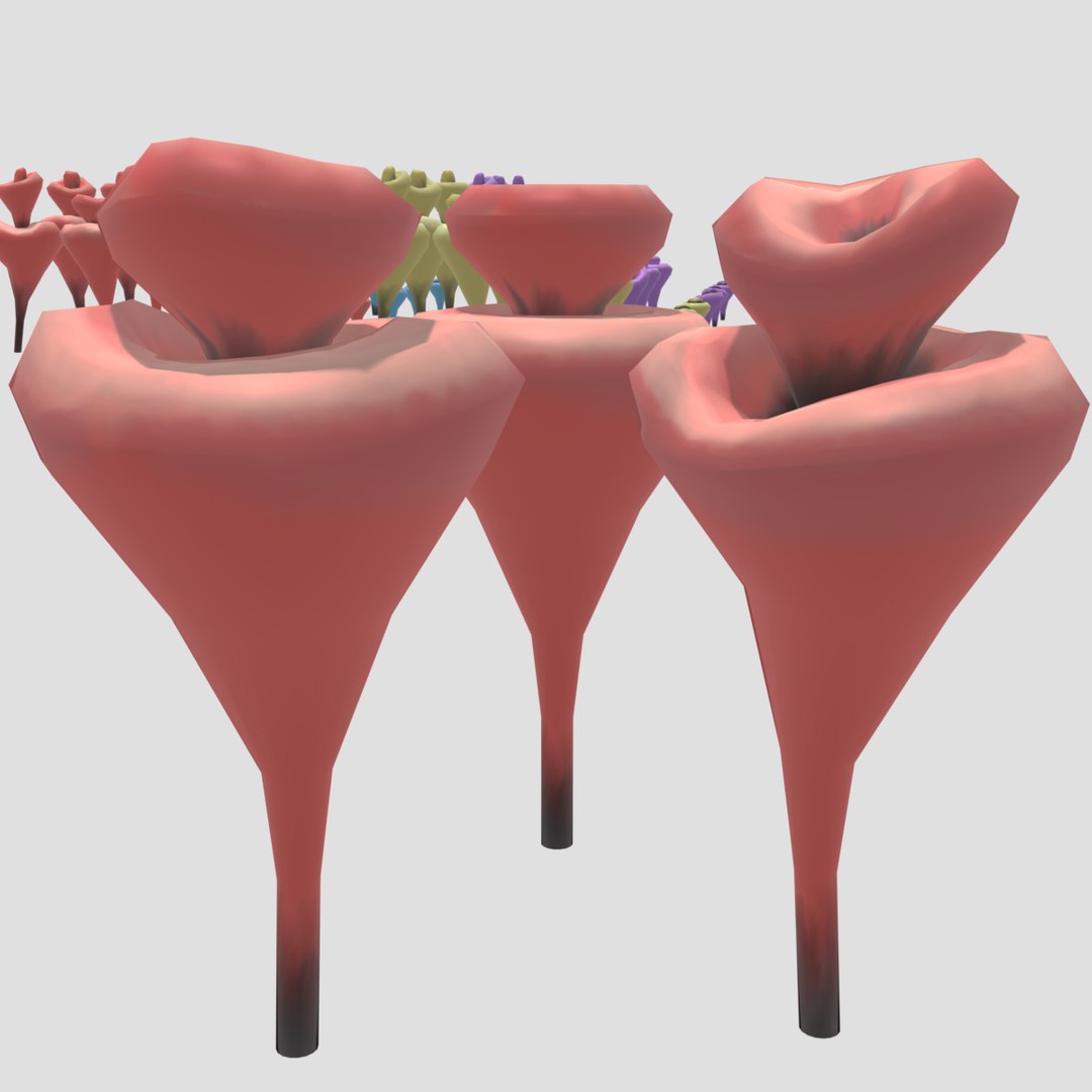 3D Double Levels Mushrooms - TurboSquid 2075590