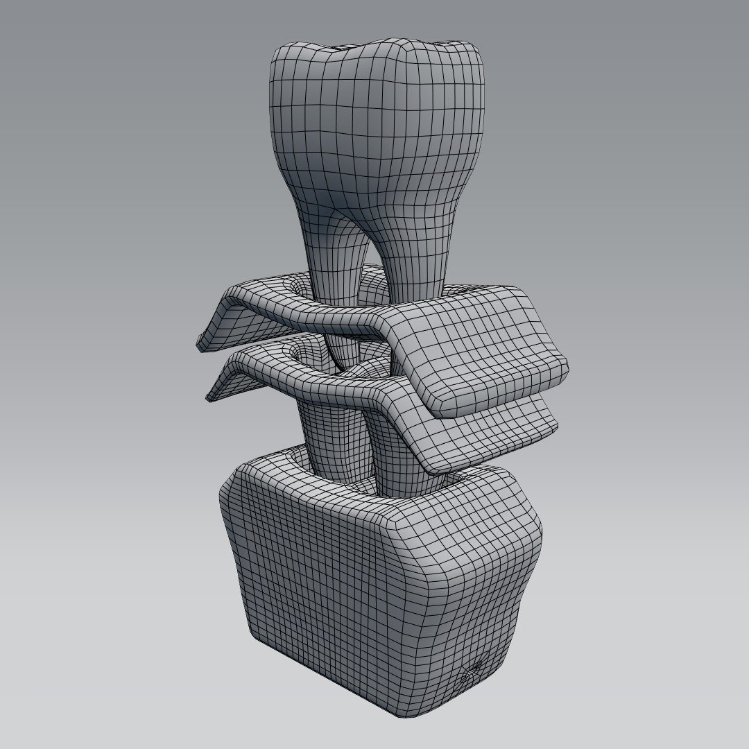 3D Model Tooth Anatomy - TurboSquid 1533597