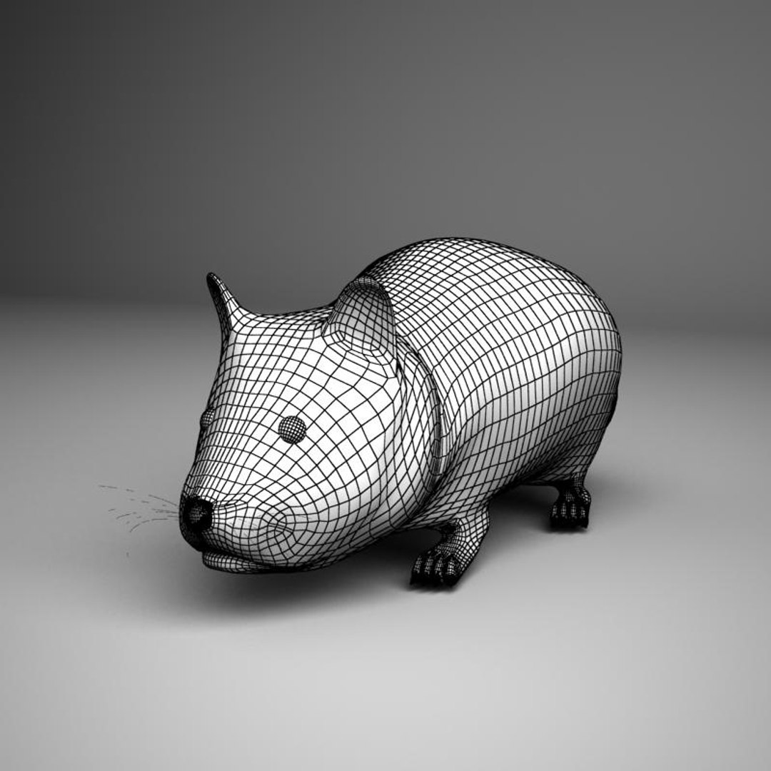 3d hamster animals model
