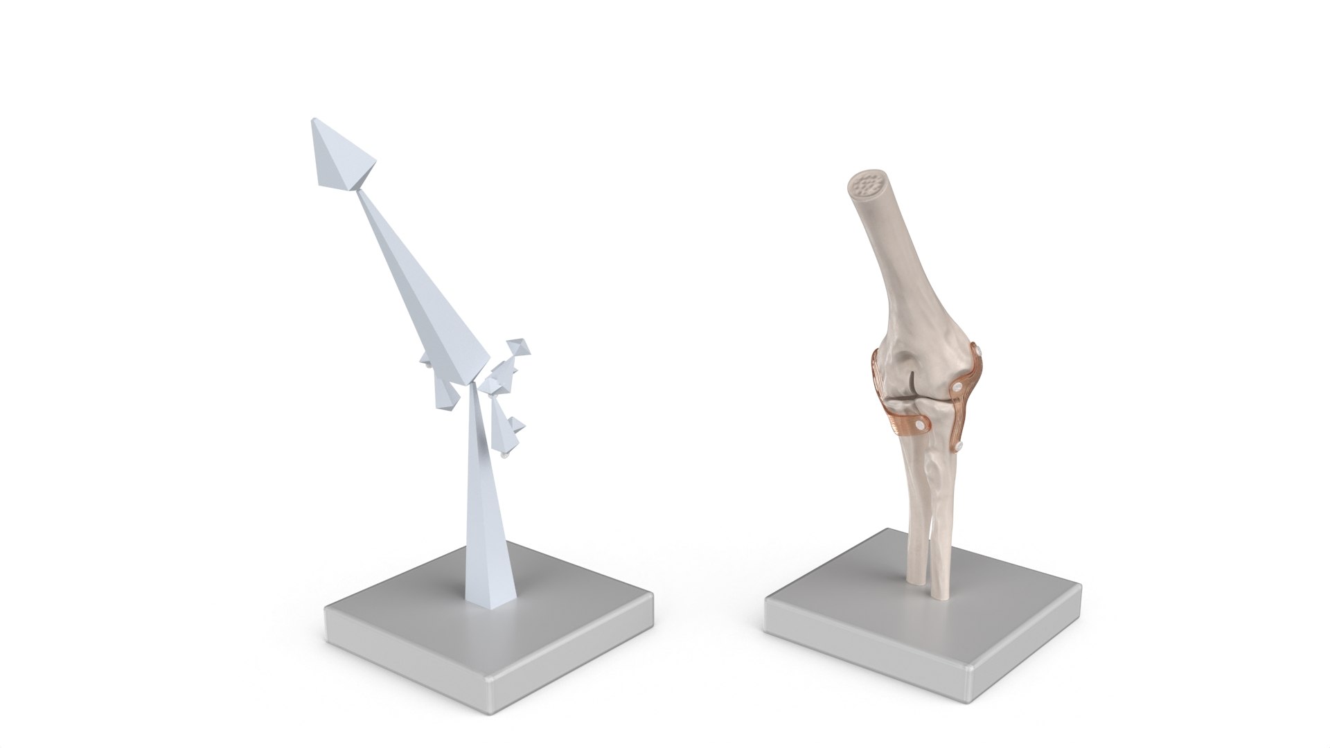 Elbow Joint Rigged For Maya Model - TurboSquid 2297197