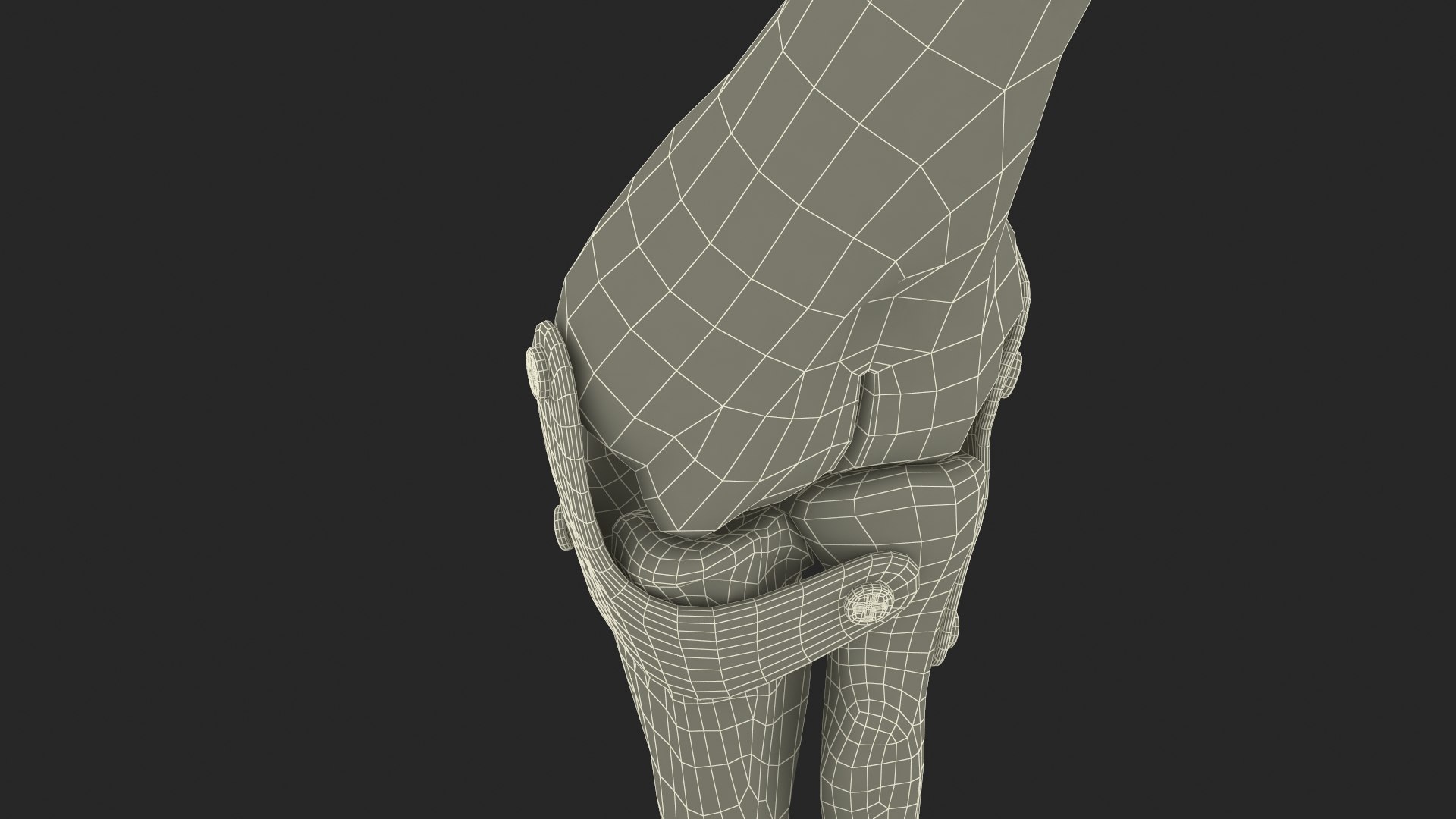 Elbow Joint Rigged For Maya Model - TurboSquid 2297197