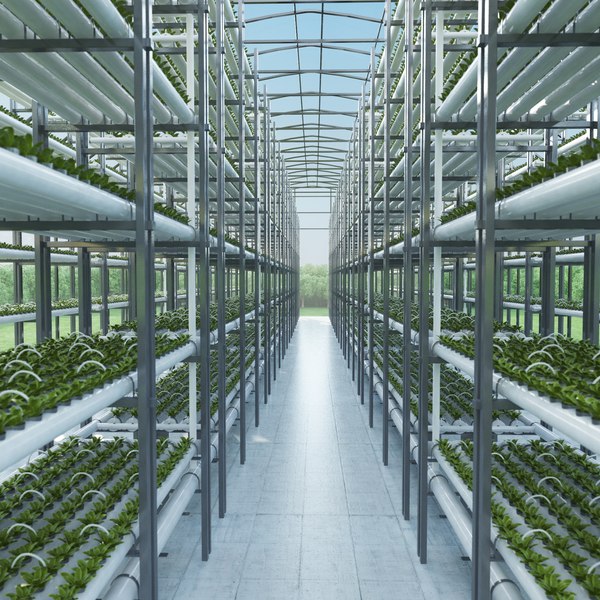 3D Hydroponic Models | TurboSquid