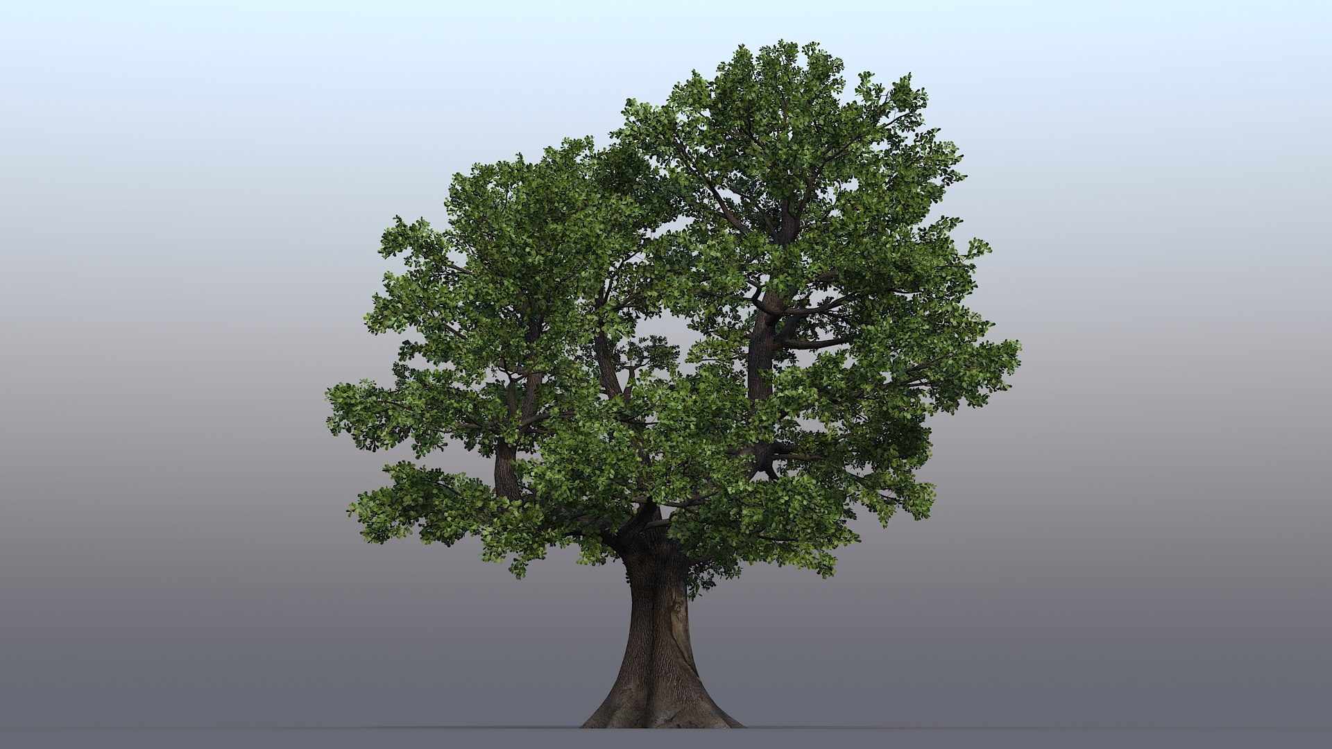 Oak Tree 04 3D Model - TurboSquid 1628384