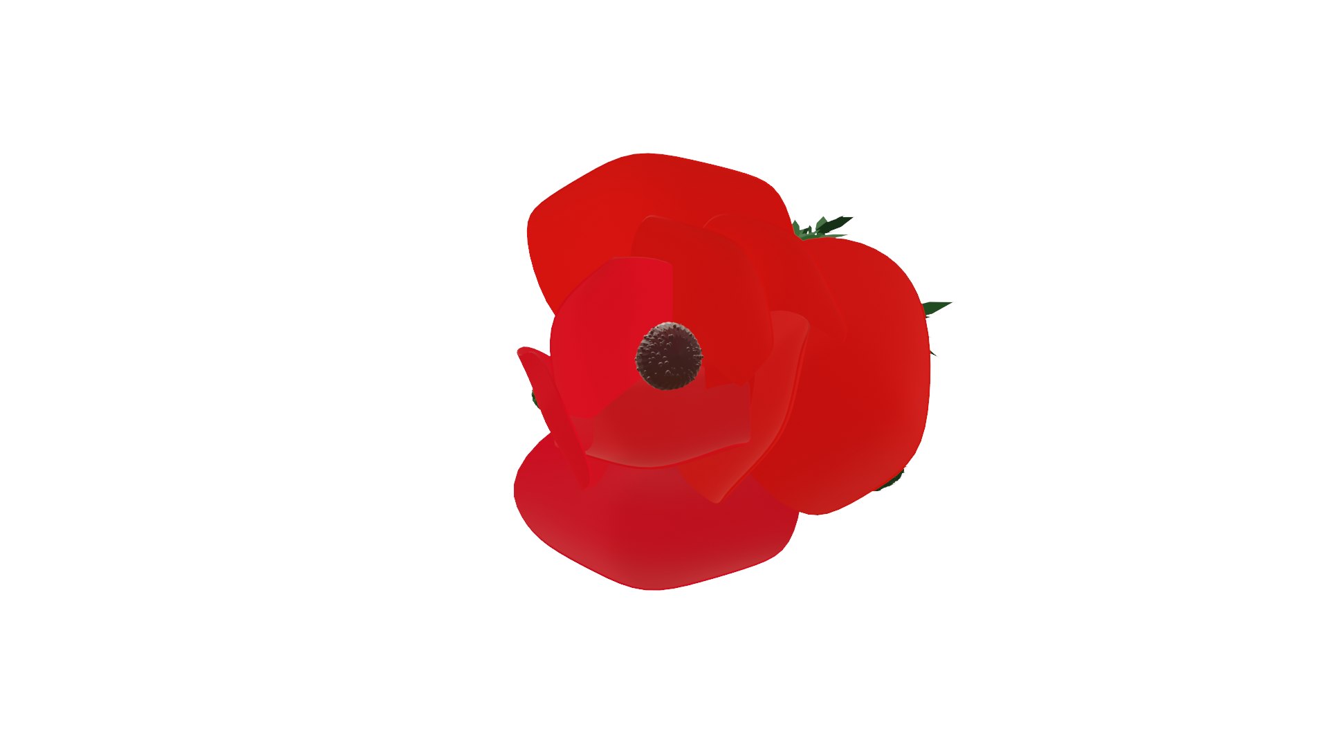 3D Poppy - TurboSquid 1980450