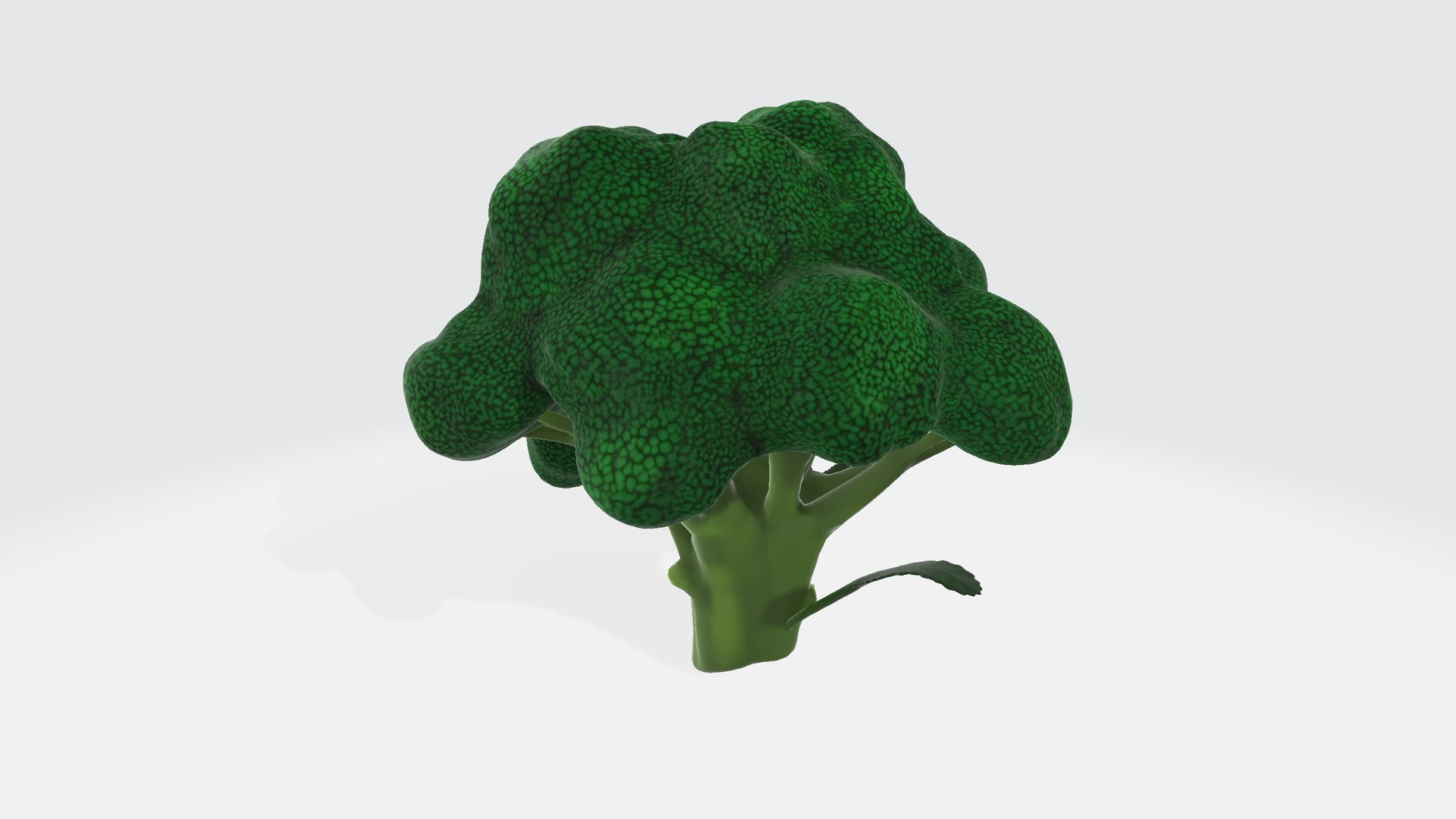 3D Model Broccoli - TurboSquid 2344234