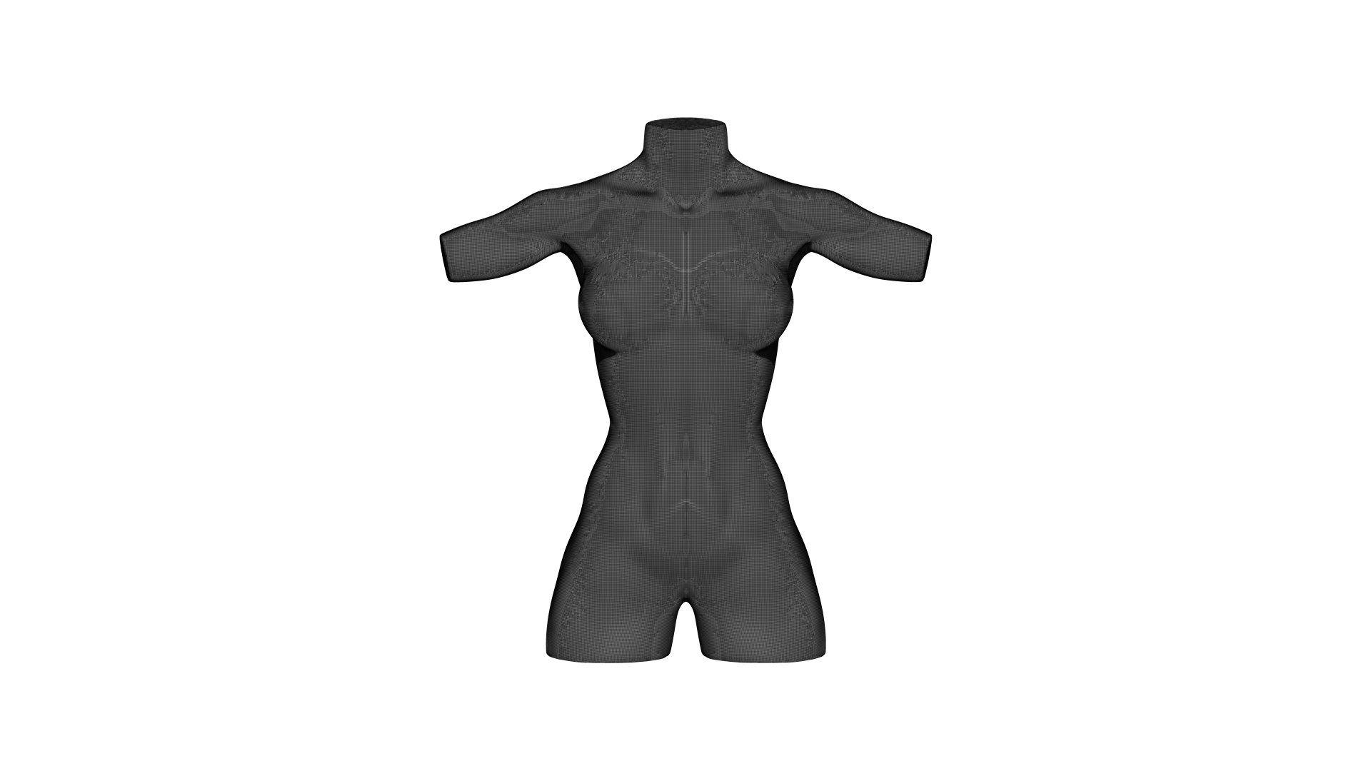 Female torso 3D model - TurboSquid 1709332