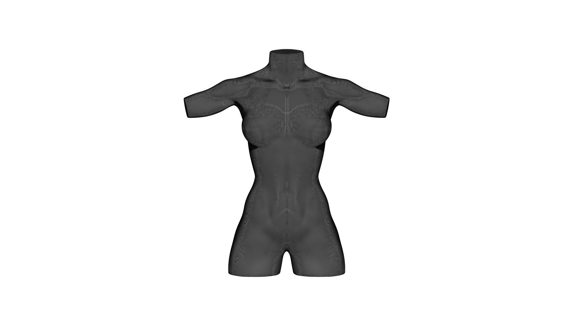 Female torso 3D model - TurboSquid 1709332