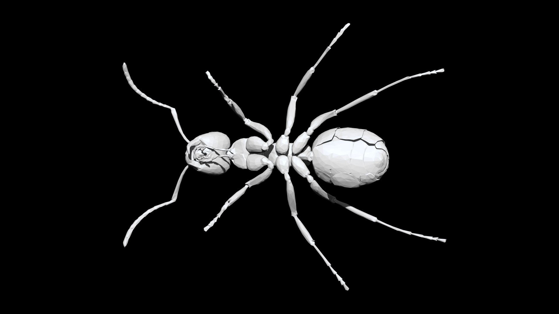 Ant CT scan low poly 3D - TurboSquid 1785161