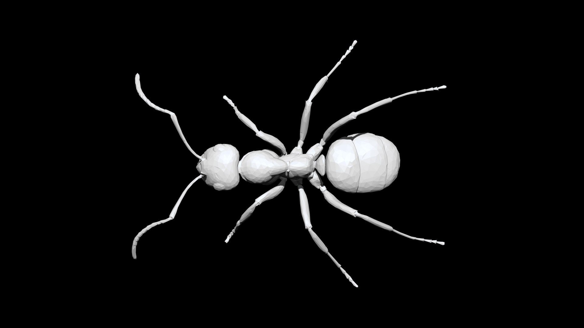 Ant CT scan low poly 3D - TurboSquid 1785161