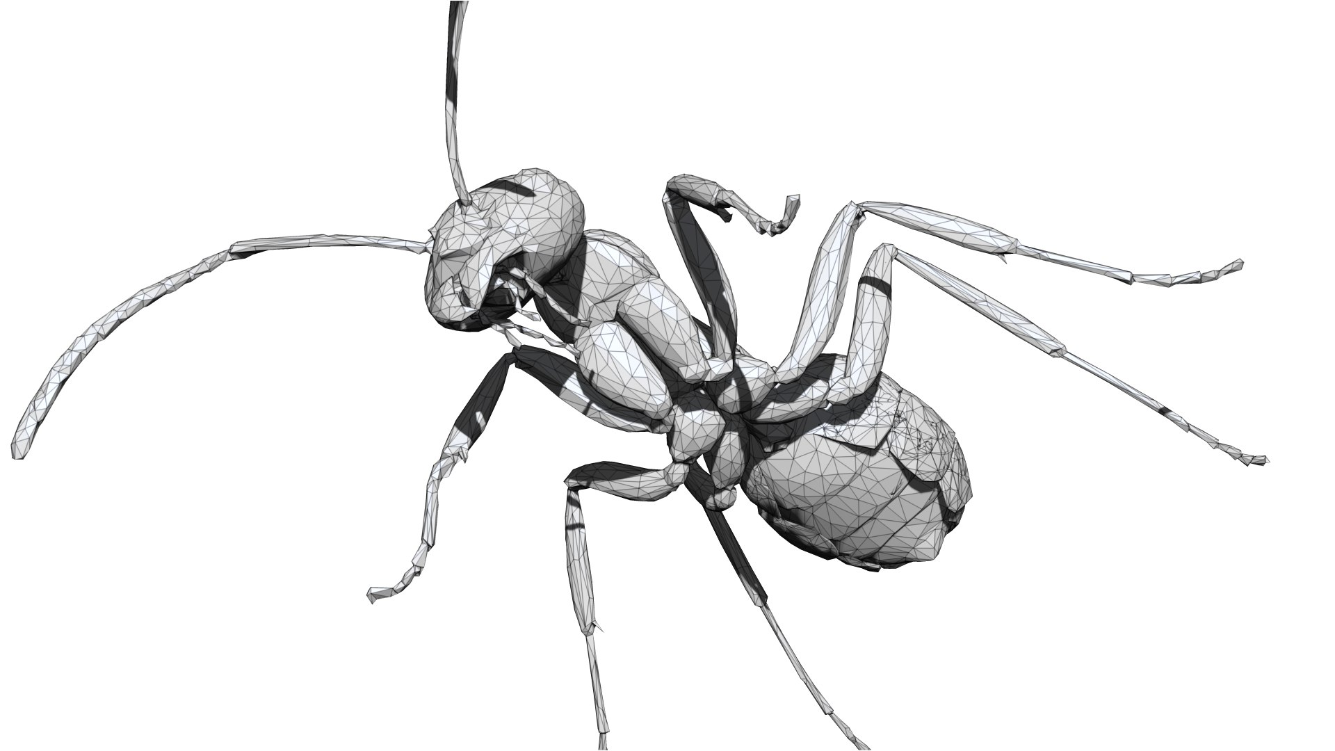 Ant CT scan low poly 3D - TurboSquid 1785161