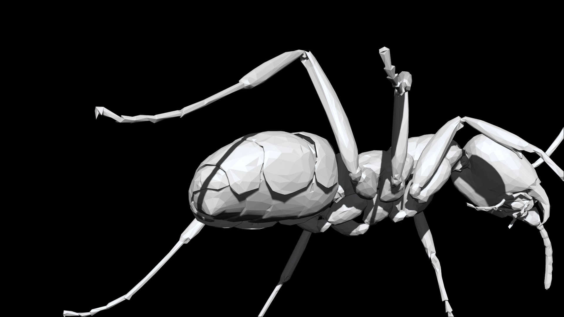 Ant CT scan low poly 3D - TurboSquid 1785161