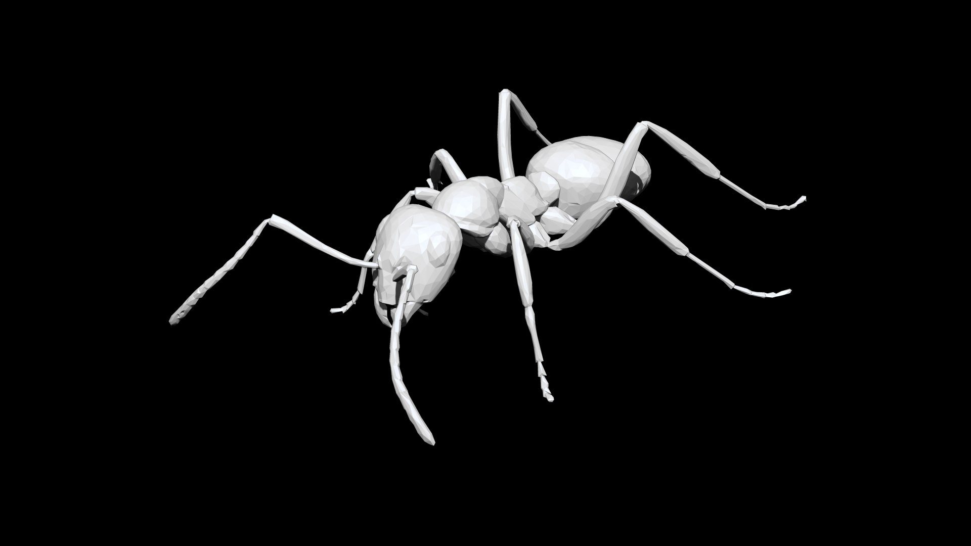 Ant CT scan low poly 3D - TurboSquid 1785161