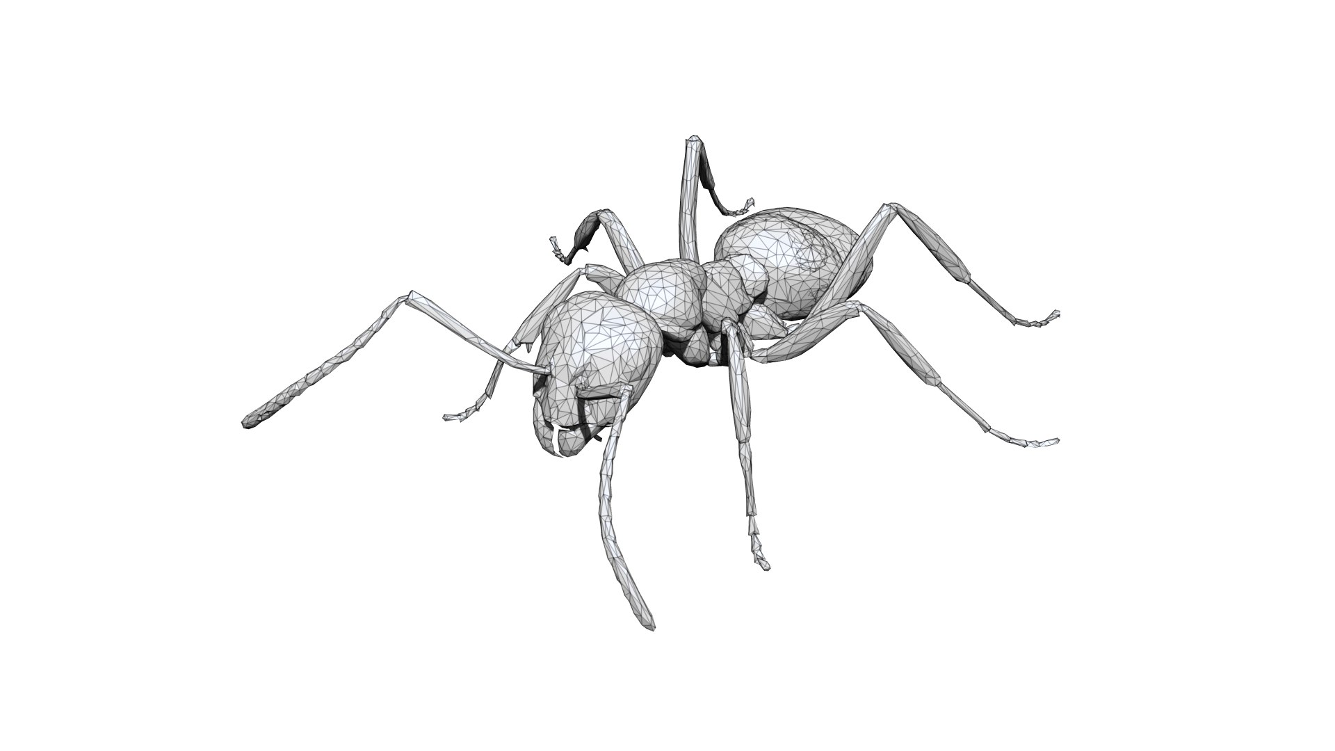 Ant CT scan low poly 3D - TurboSquid 1785161