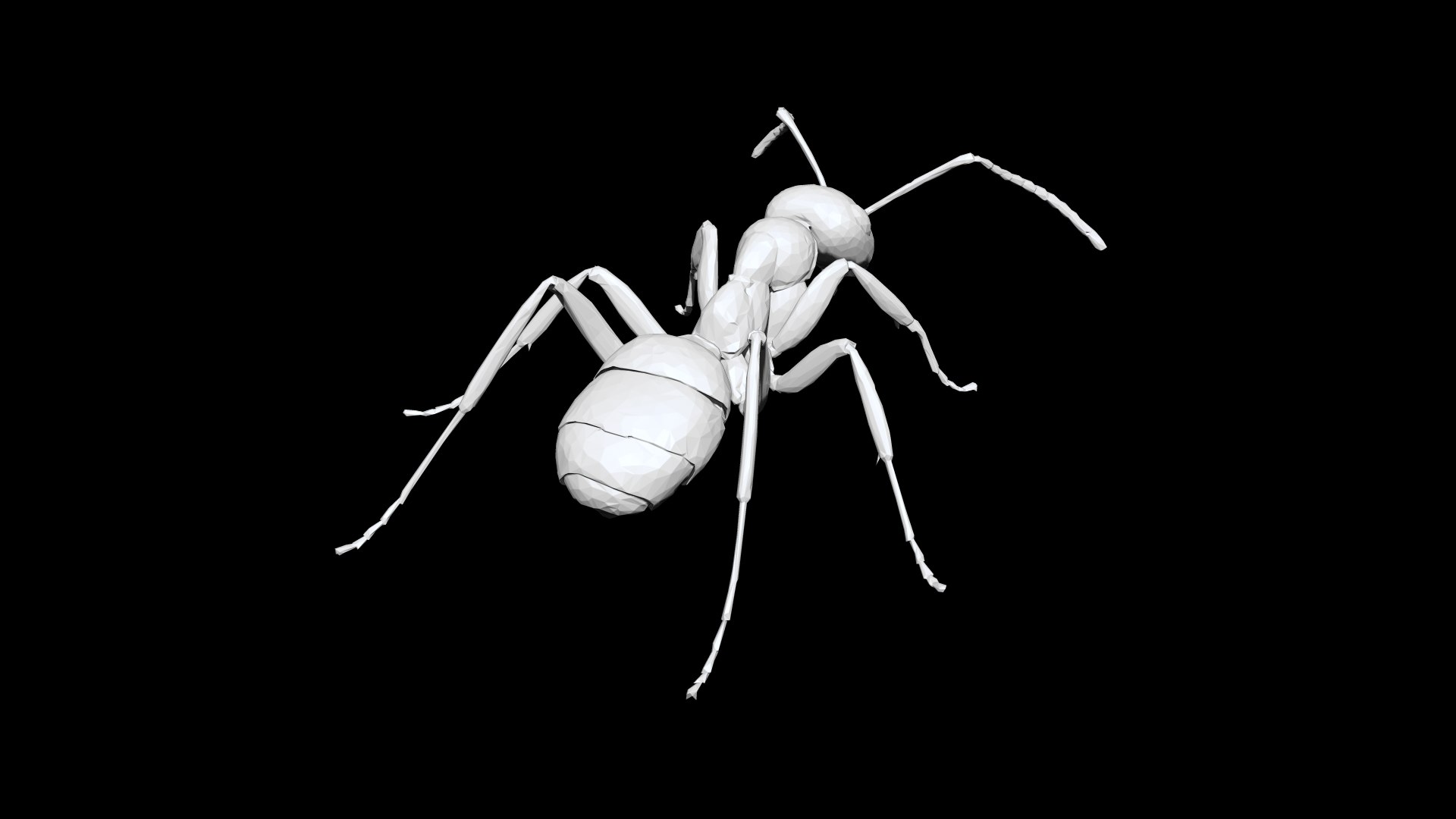 Ant CT scan low poly 3D - TurboSquid 1785161