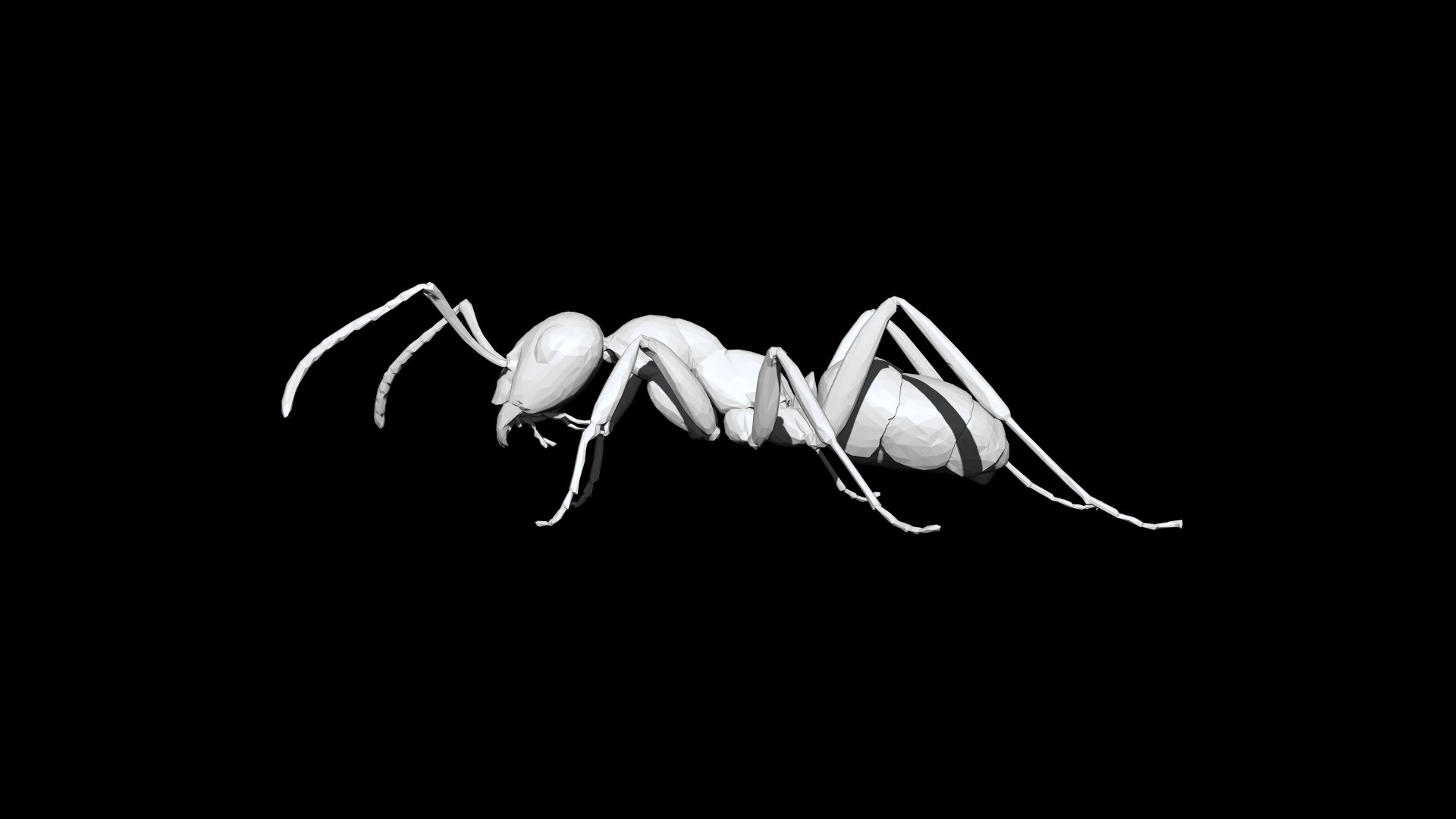 Ant CT scan low poly 3D - TurboSquid 1785161