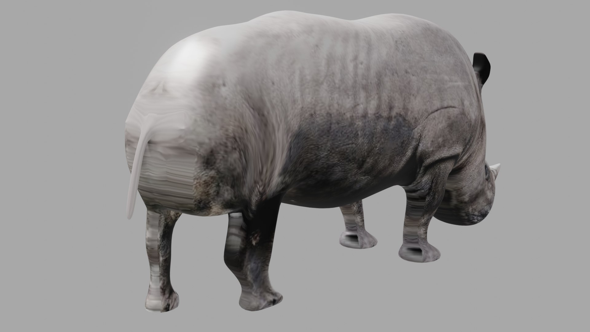3D Rhinoceros model - TurboSquid 2033245