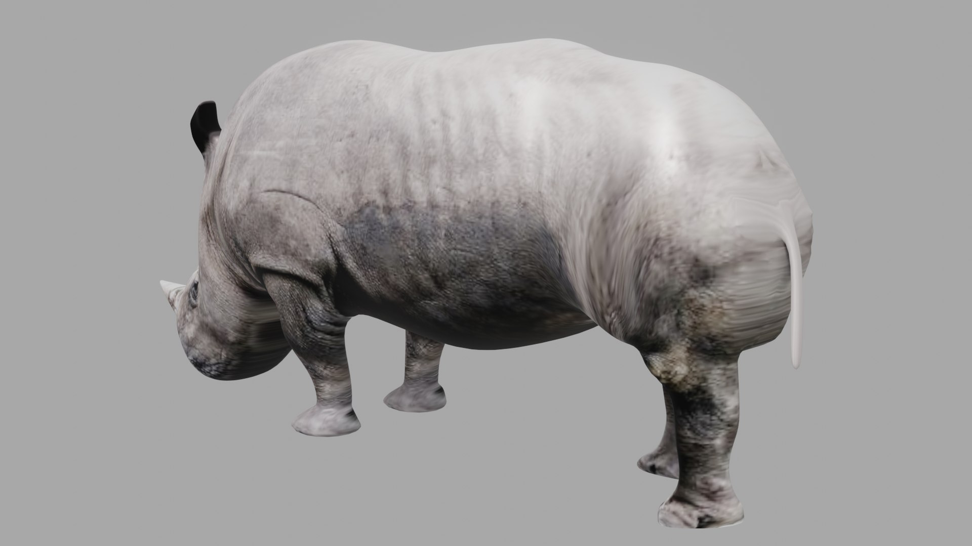 3D Rhinoceros model - TurboSquid 2033245