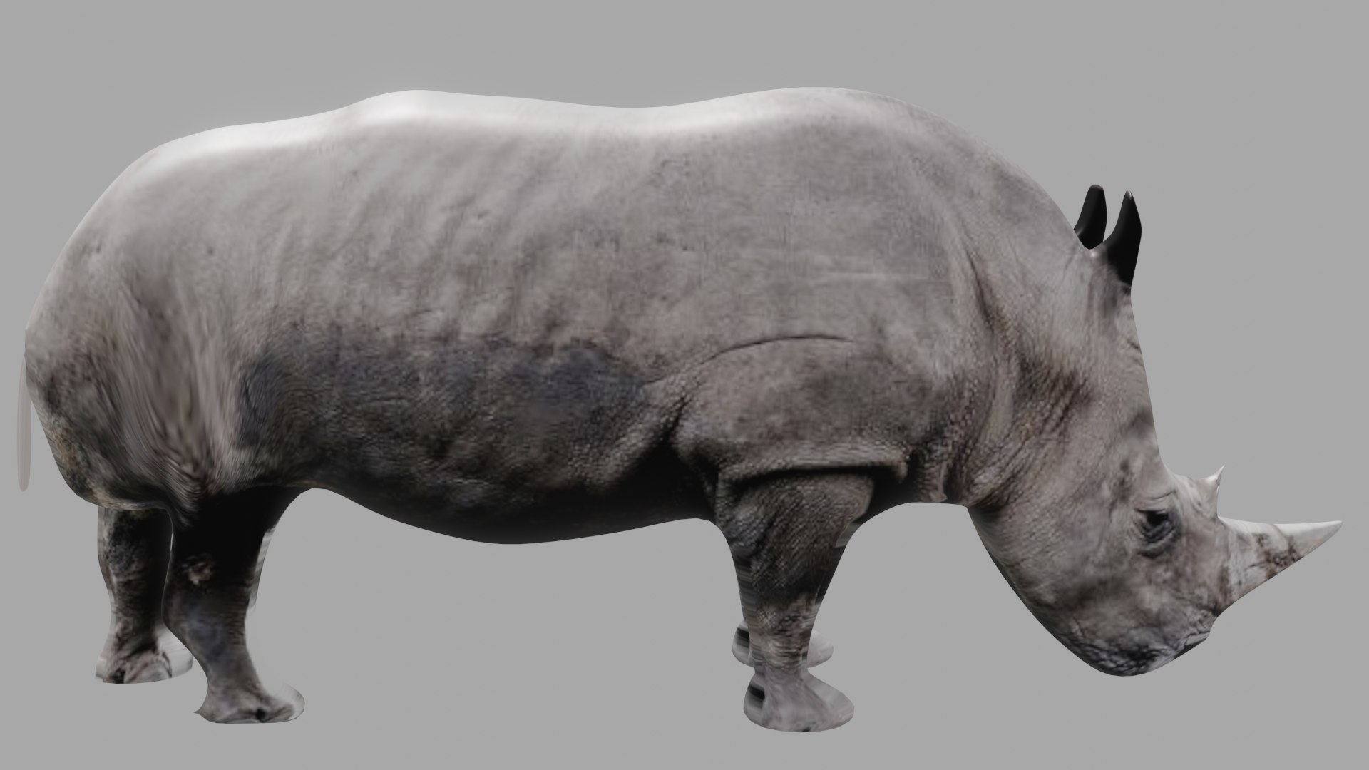 3D Rhinoceros model - TurboSquid 2033245