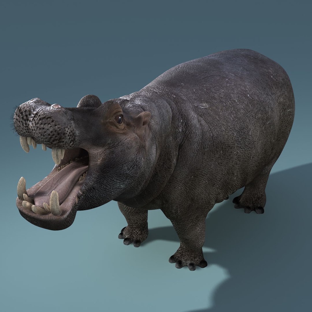 3dsmax photorealistic hippopotamus