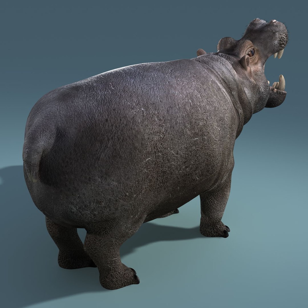 3dsmax photorealistic hippopotamus