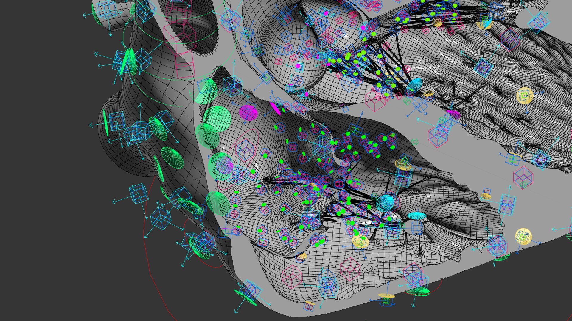 Medically Accurate Anterior Cross-section Of The Human Heart Animated ...