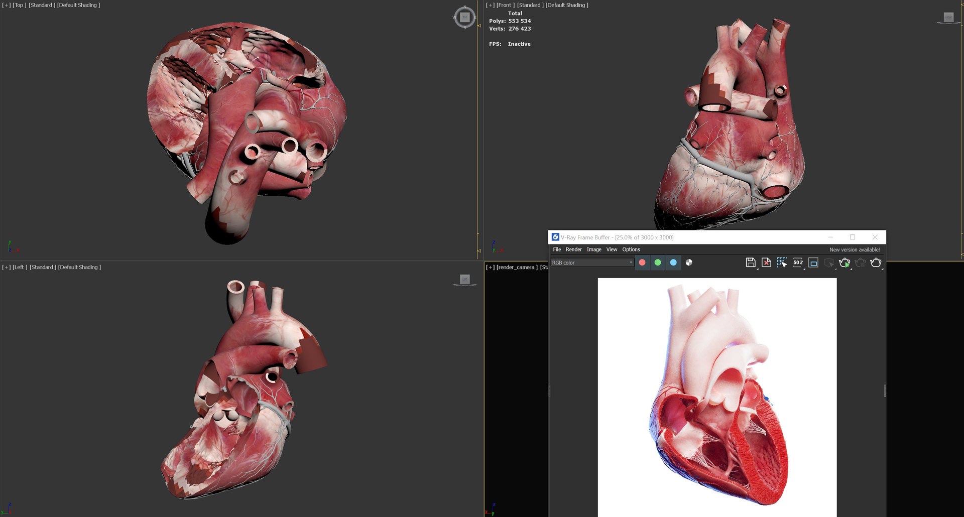 Medically accurate anterior cross-section of the Human Heart Animated ...