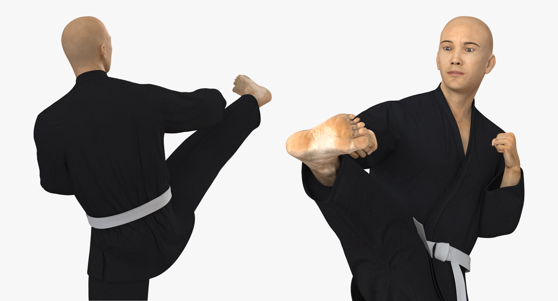 3D Model Rigged Karate Fighters - TurboSquid 1212881