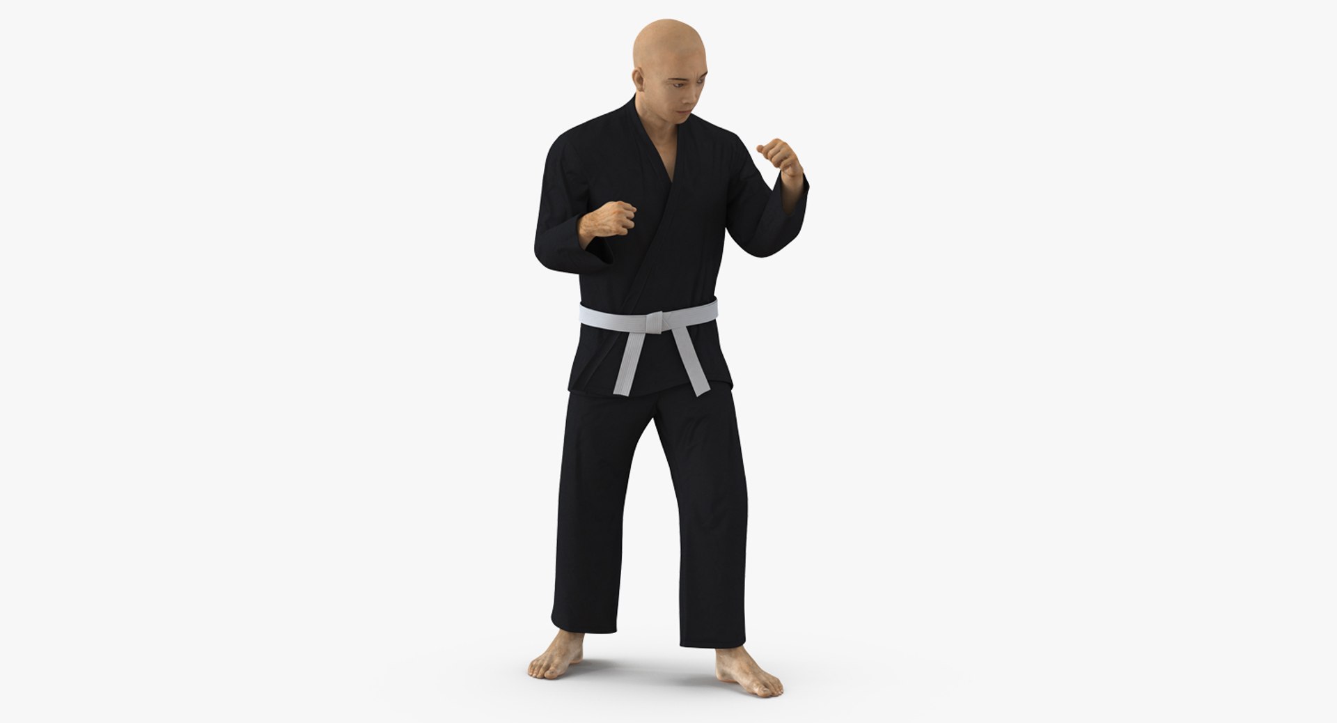 3D Model Rigged Karate Fighters - TurboSquid 1212881