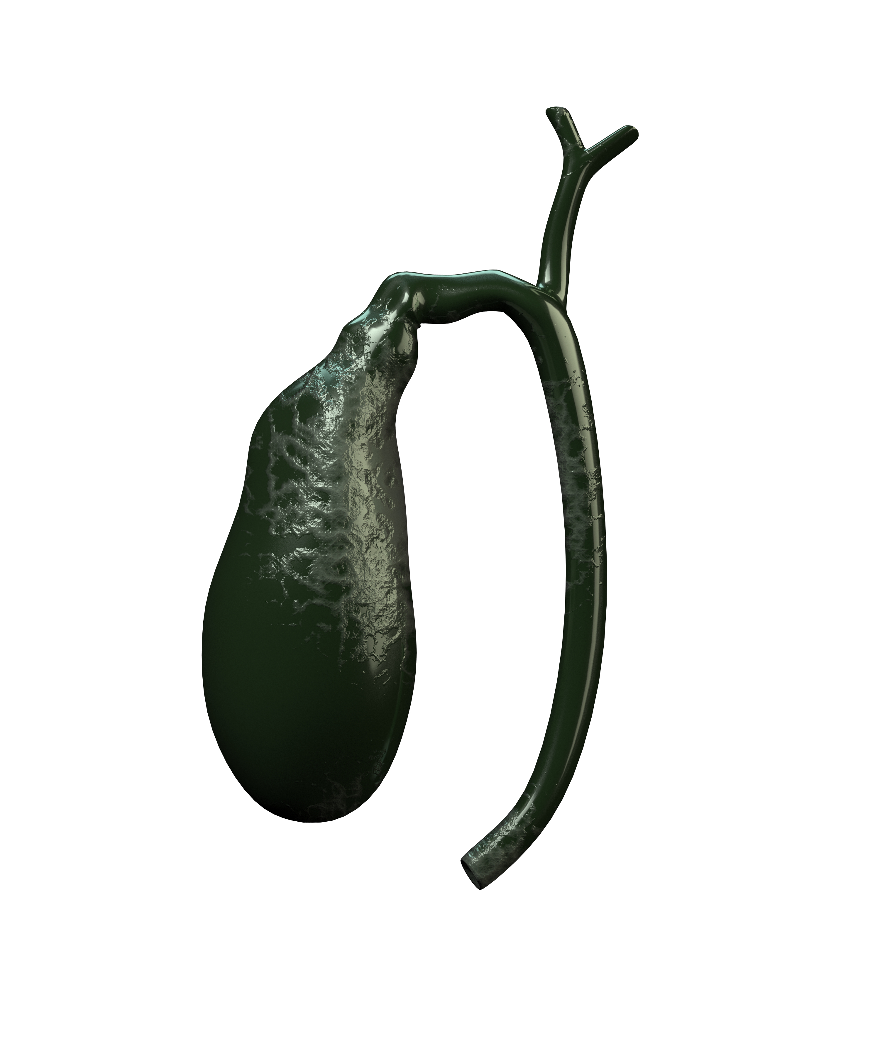 3D Human Gallbladder model - TurboSquid 1728813