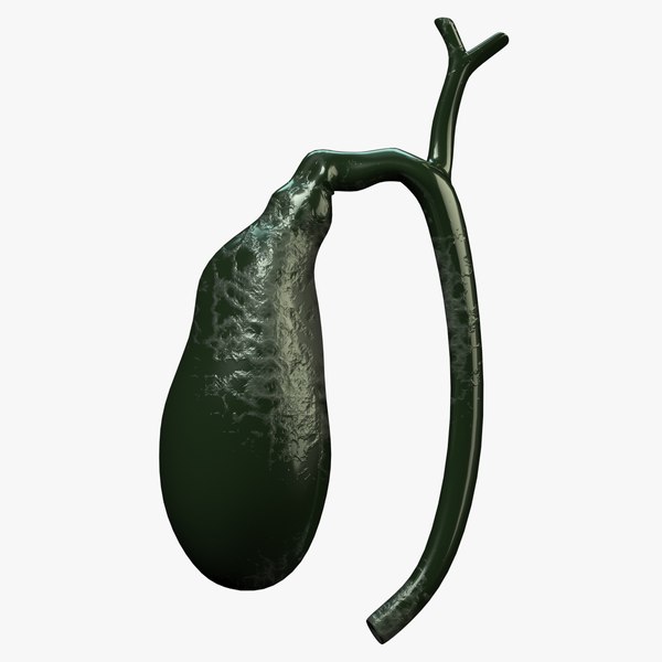 3D Human Gallbladder model - TurboSquid 1728813