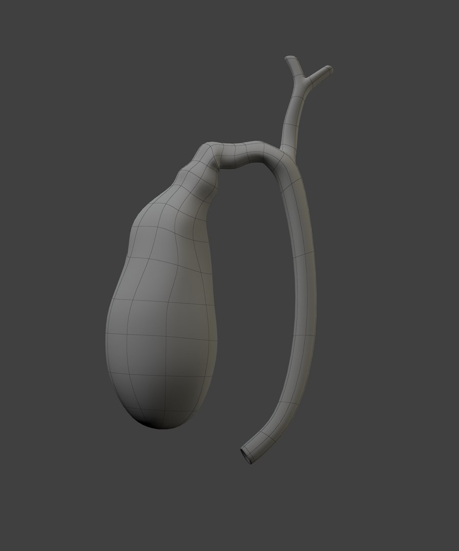 3D Human Gallbladder Model - TurboSquid 1728813
