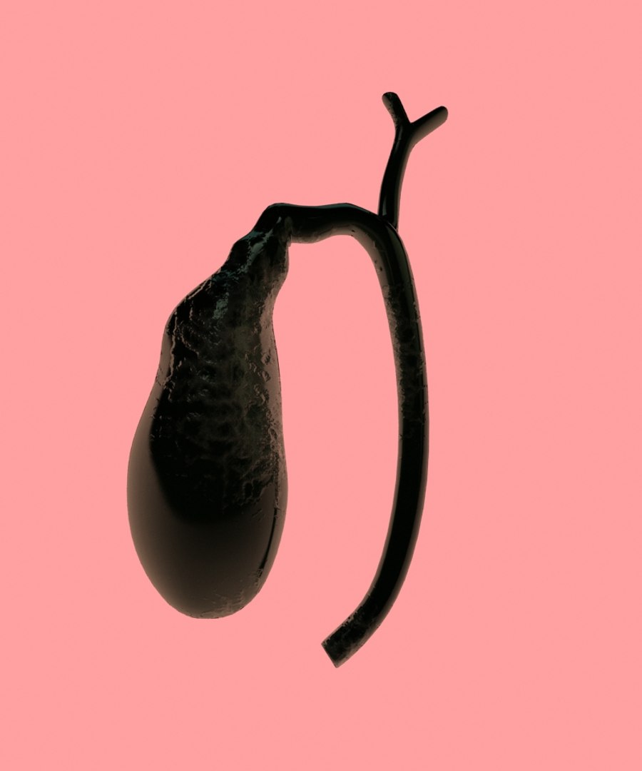 3D Human Gallbladder Model - TurboSquid 1728813