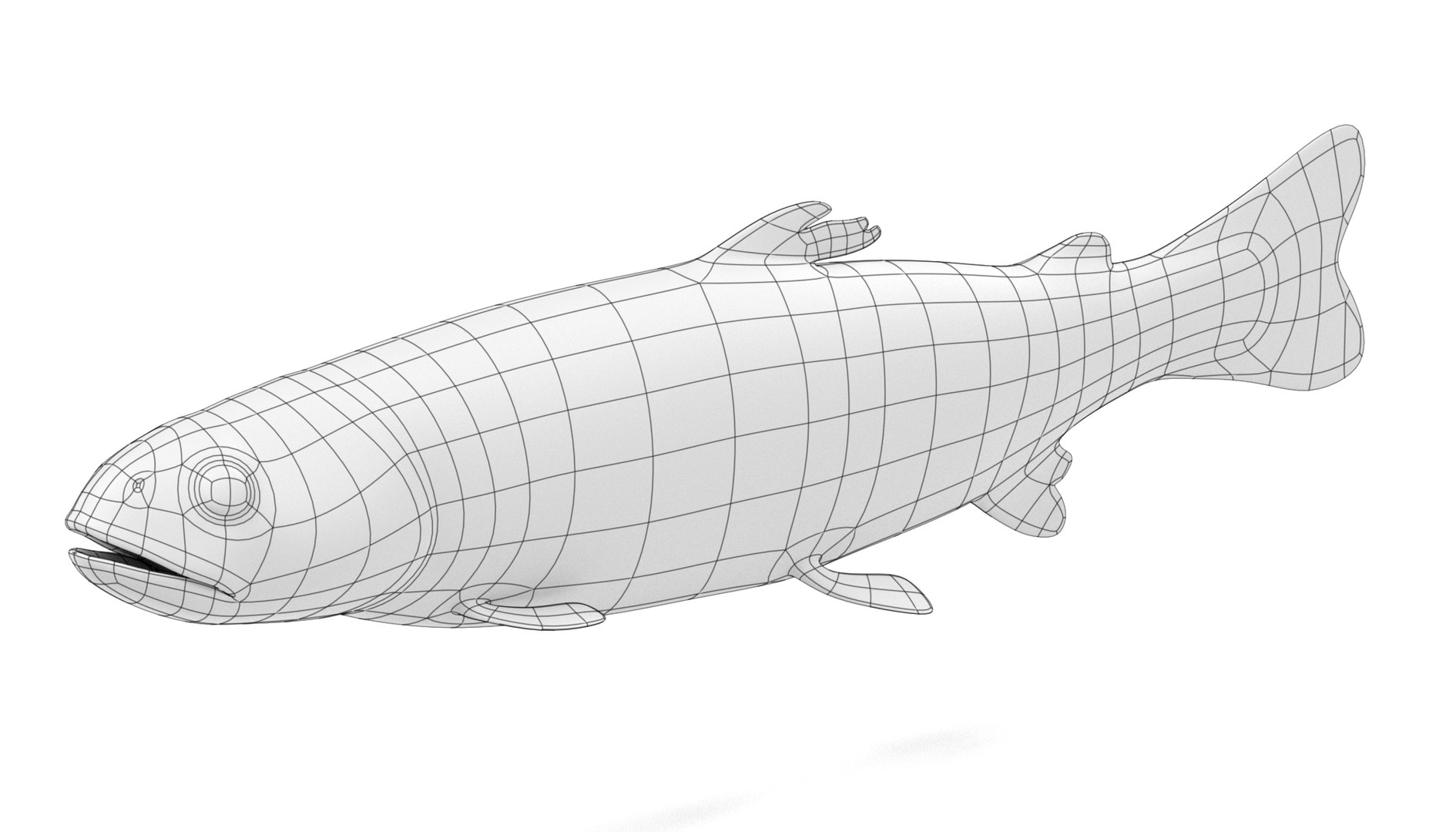 3d Model Trout