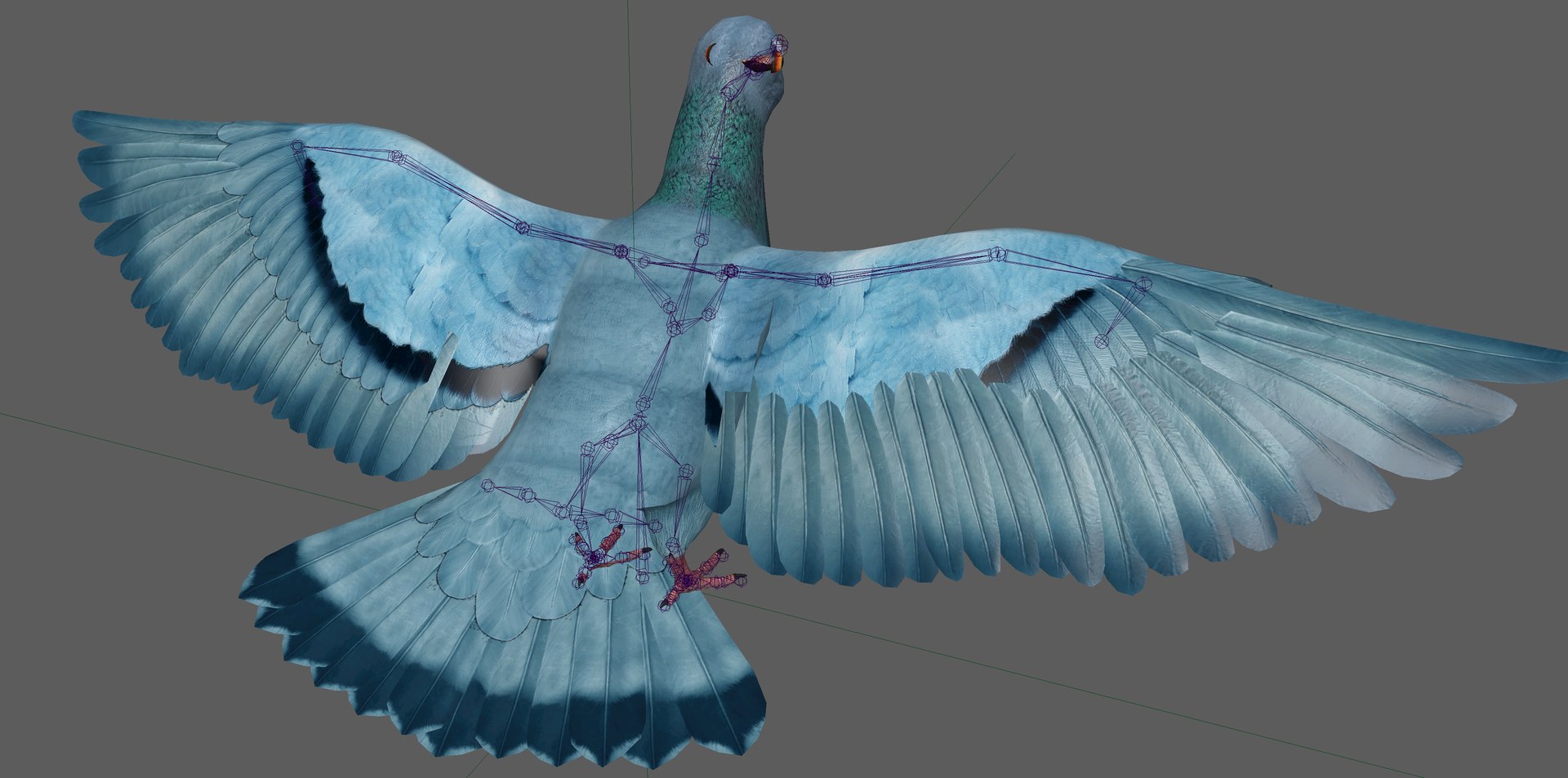 3D Pigeon Rigged - TurboSquid 1887152