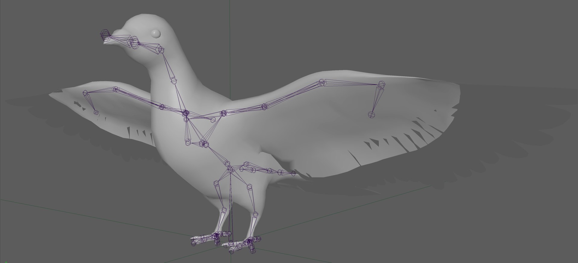 3D Pigeon Rigged - TurboSquid 1887152