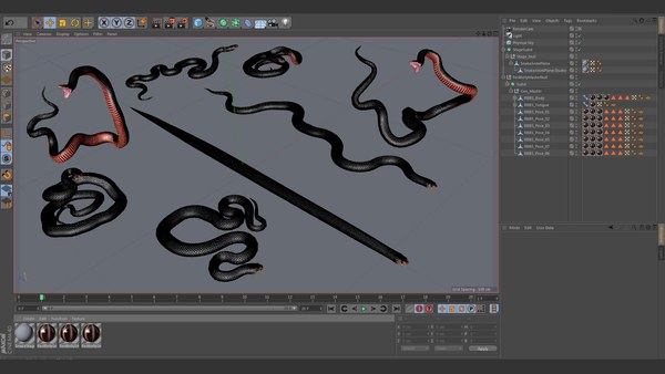 3D Red Bellied Black Snake Mesh model - TurboSquid 1775732