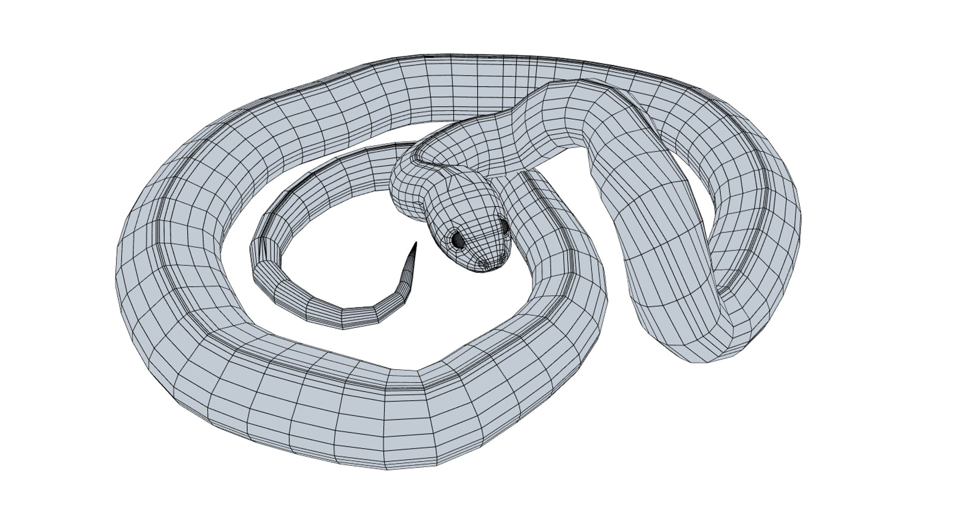 3D Red Bellied Black Snake Mesh Model - TurboSquid 1775732