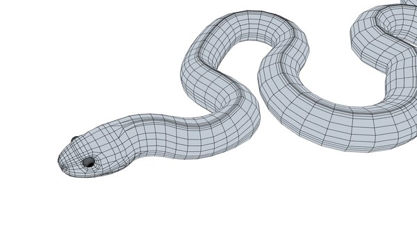 3D Red Bellied Black Snake Mesh model - TurboSquid 1775732
