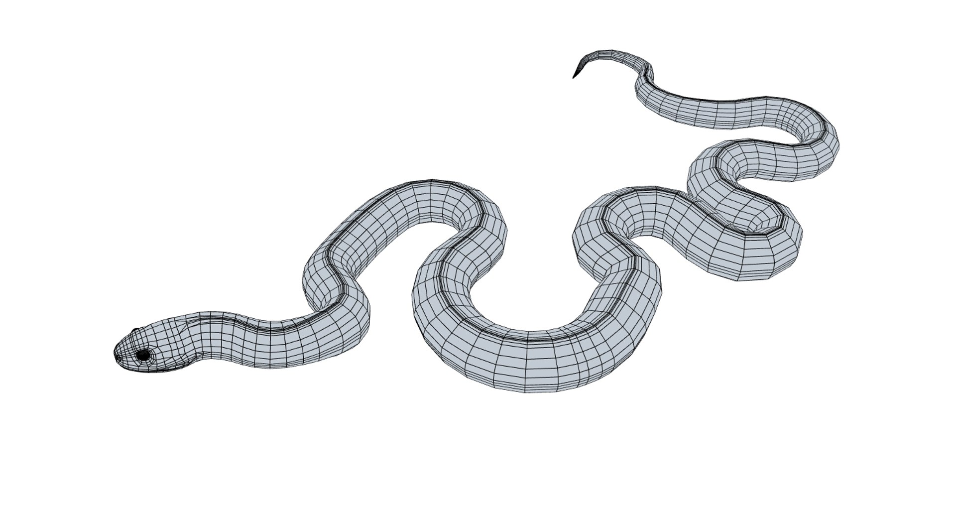 3D Red Bellied Black Snake Mesh Model - TurboSquid 1775732
