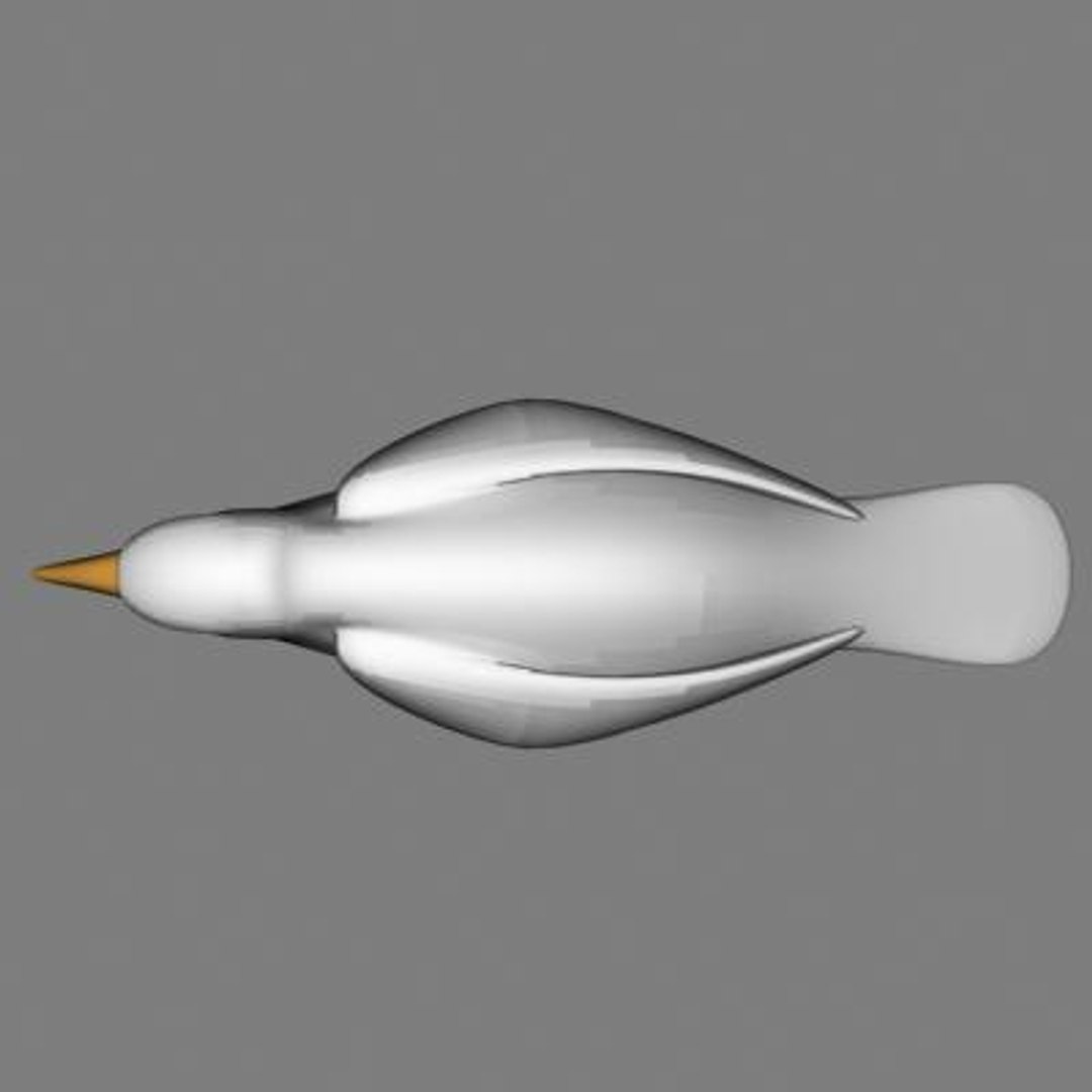 Bird 3d Model