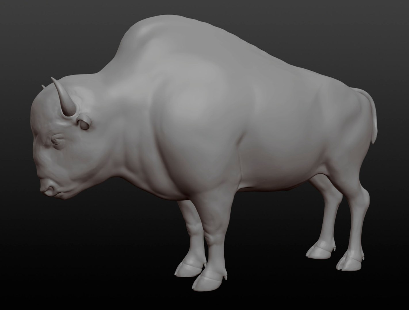 3D Bison Base Mesh Model - TurboSquid 1720830