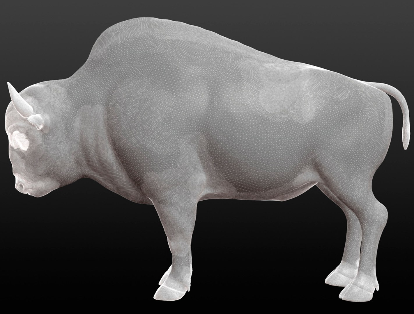 3D Bison base mesh model - TurboSquid 1720830