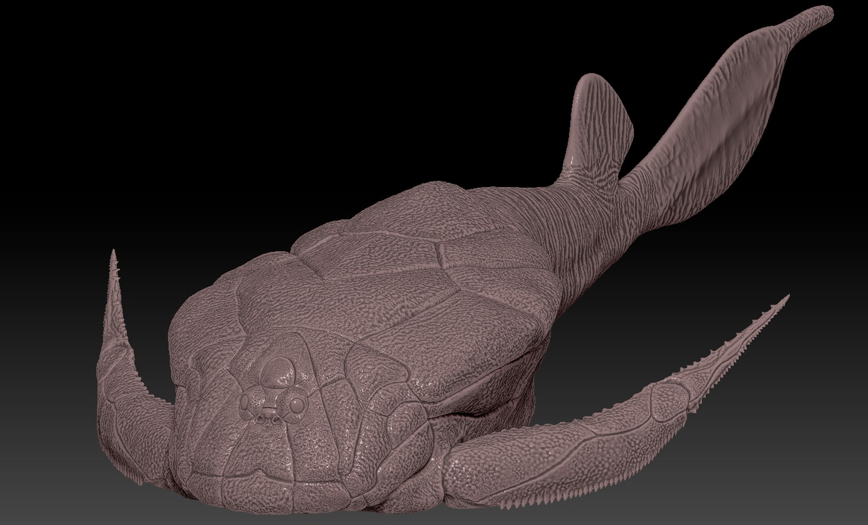 Bothriolepis Canadensis 3D Model - TurboSquid 1321580
