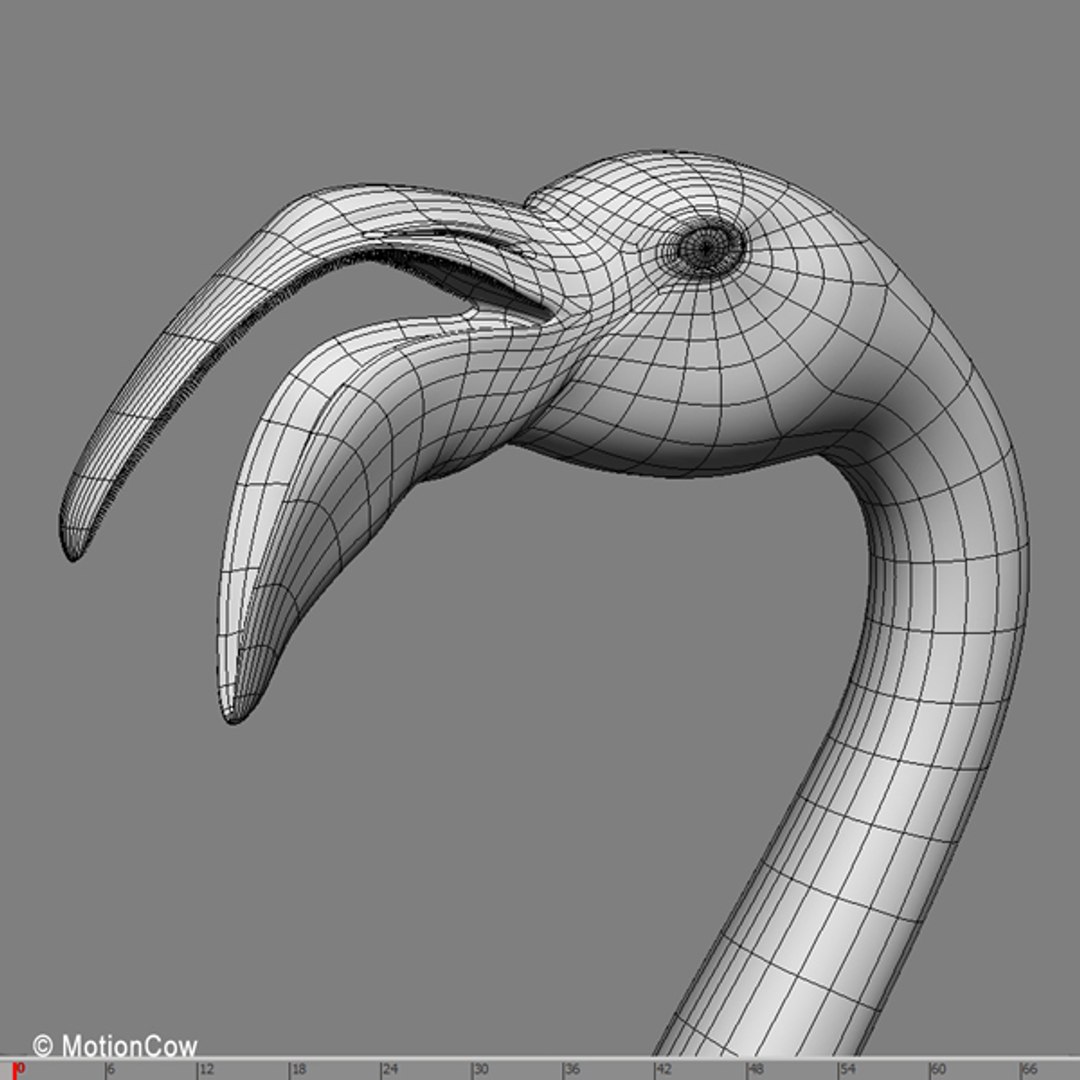3d realistic pink flamingo model