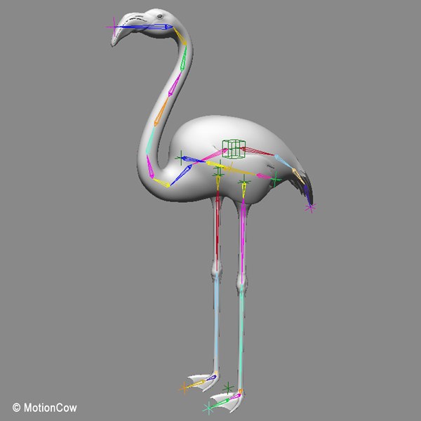 3d realistic pink flamingo model